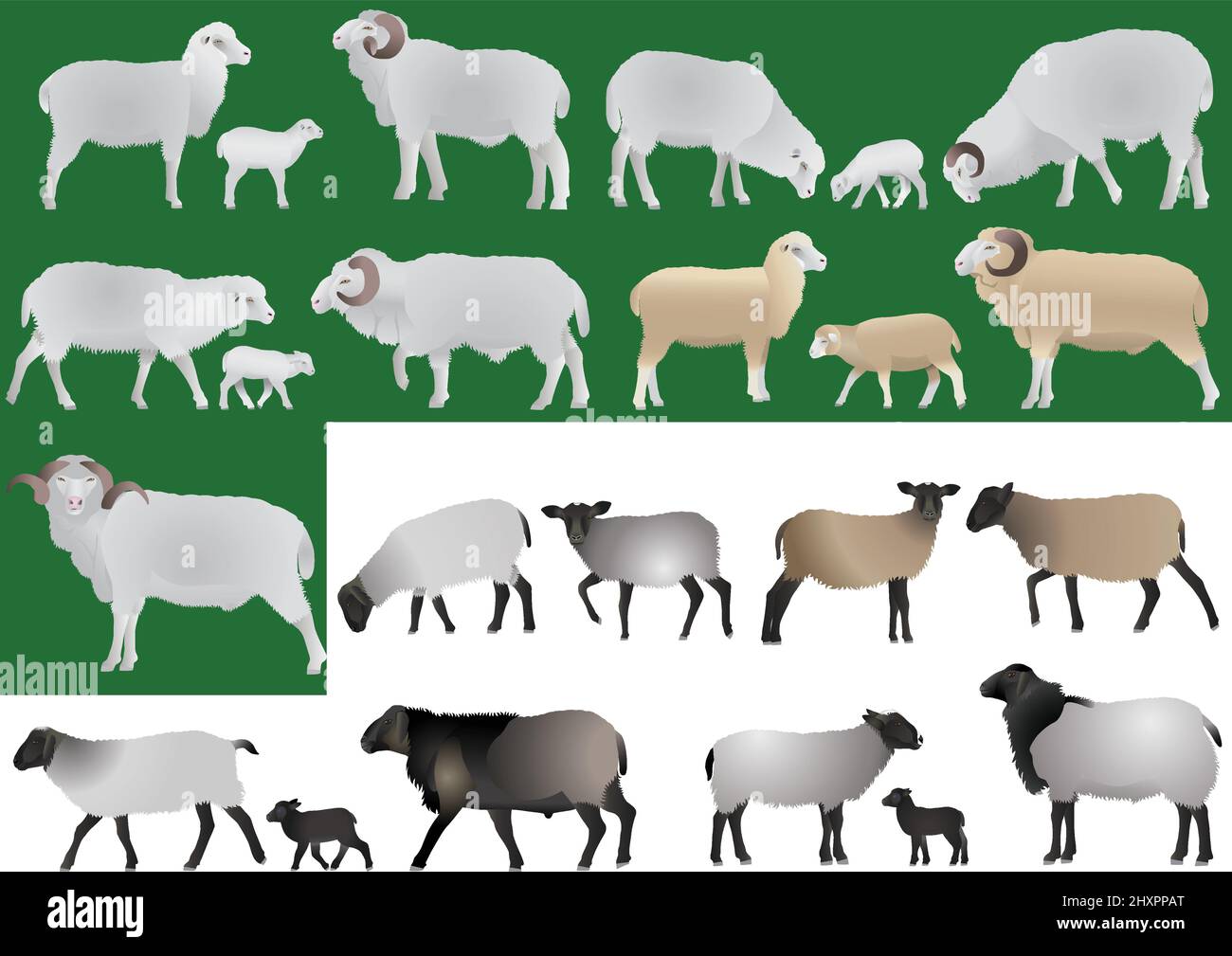 Zoo cattle Stock Vector Images - Alamy