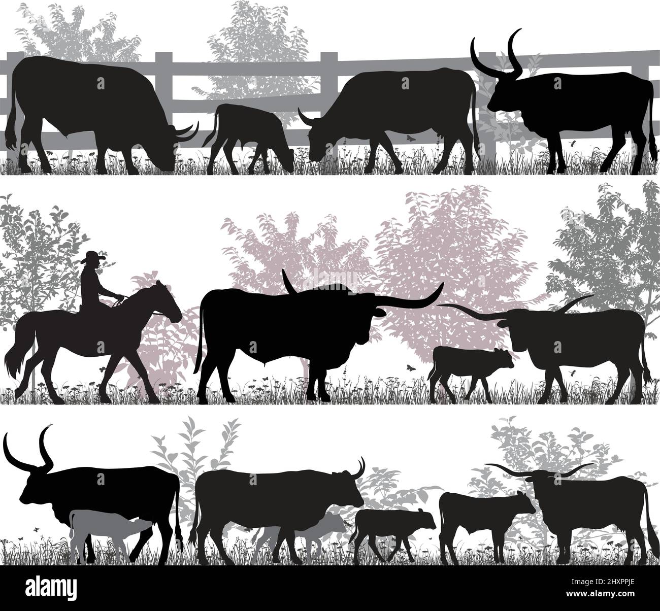 Silhouettes of cattle breed of texas longhorn Stock Vector Image & Art ...