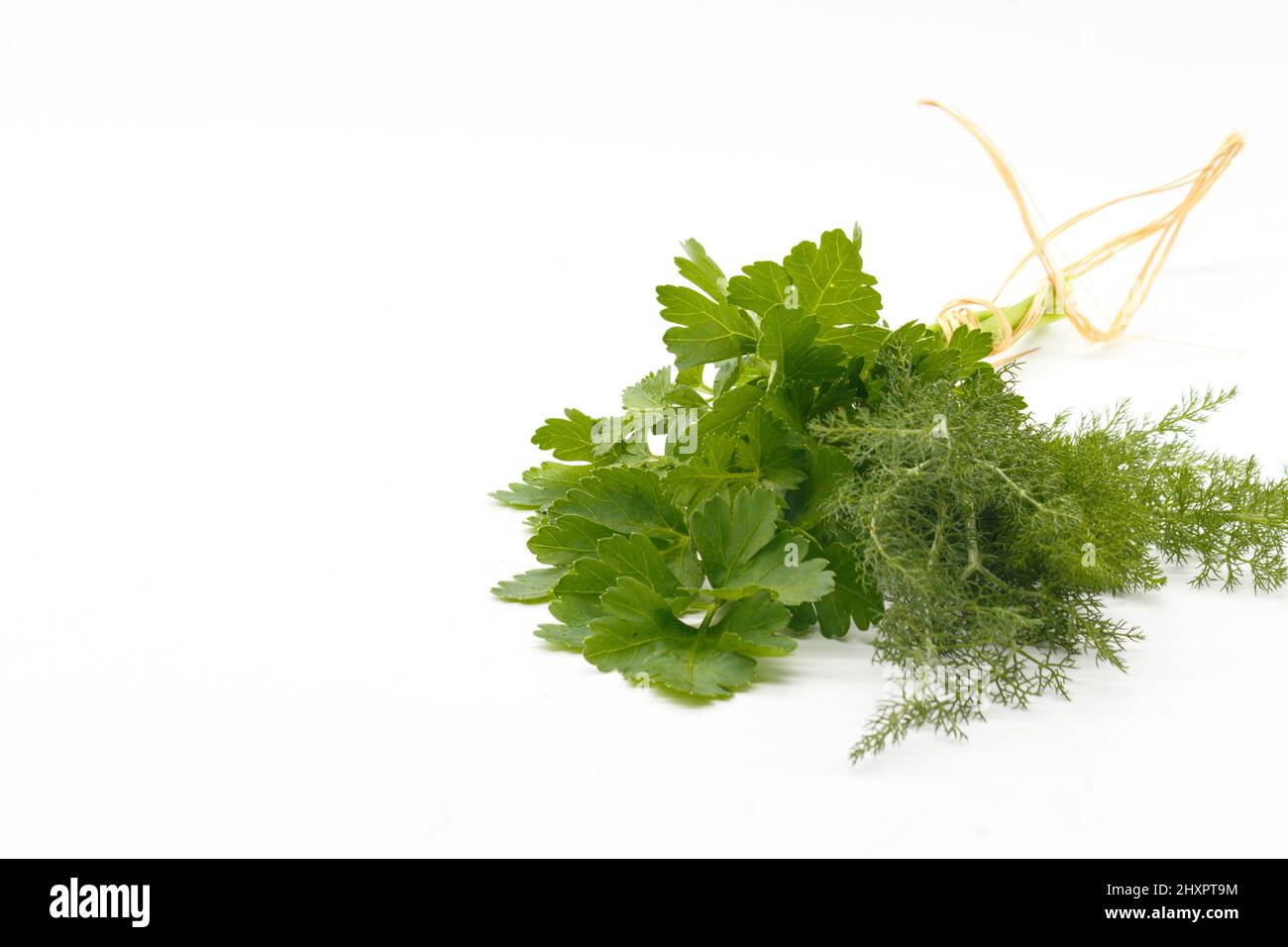 Parsley sprig with fresh fennel isolated on white background ...