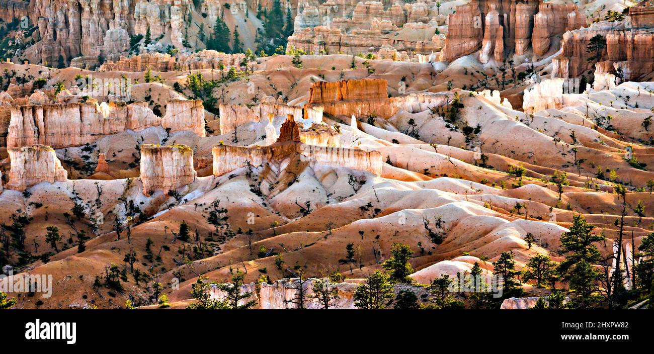 beautiful landscape in Bryce Canyon with magnificent Stone formation in ...