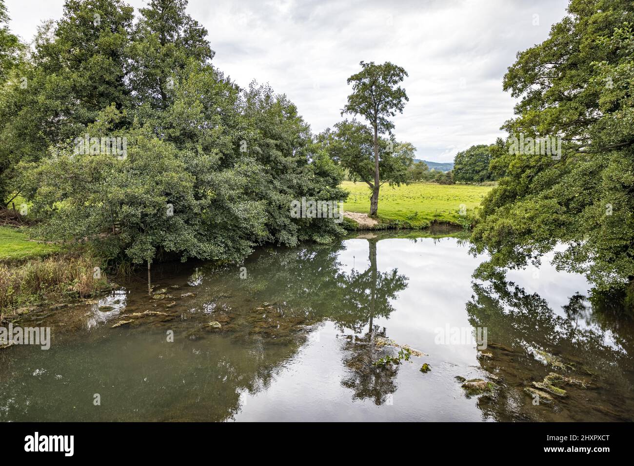 Reflections on the River Terne, Leintwardine, Herefordshire, England ...