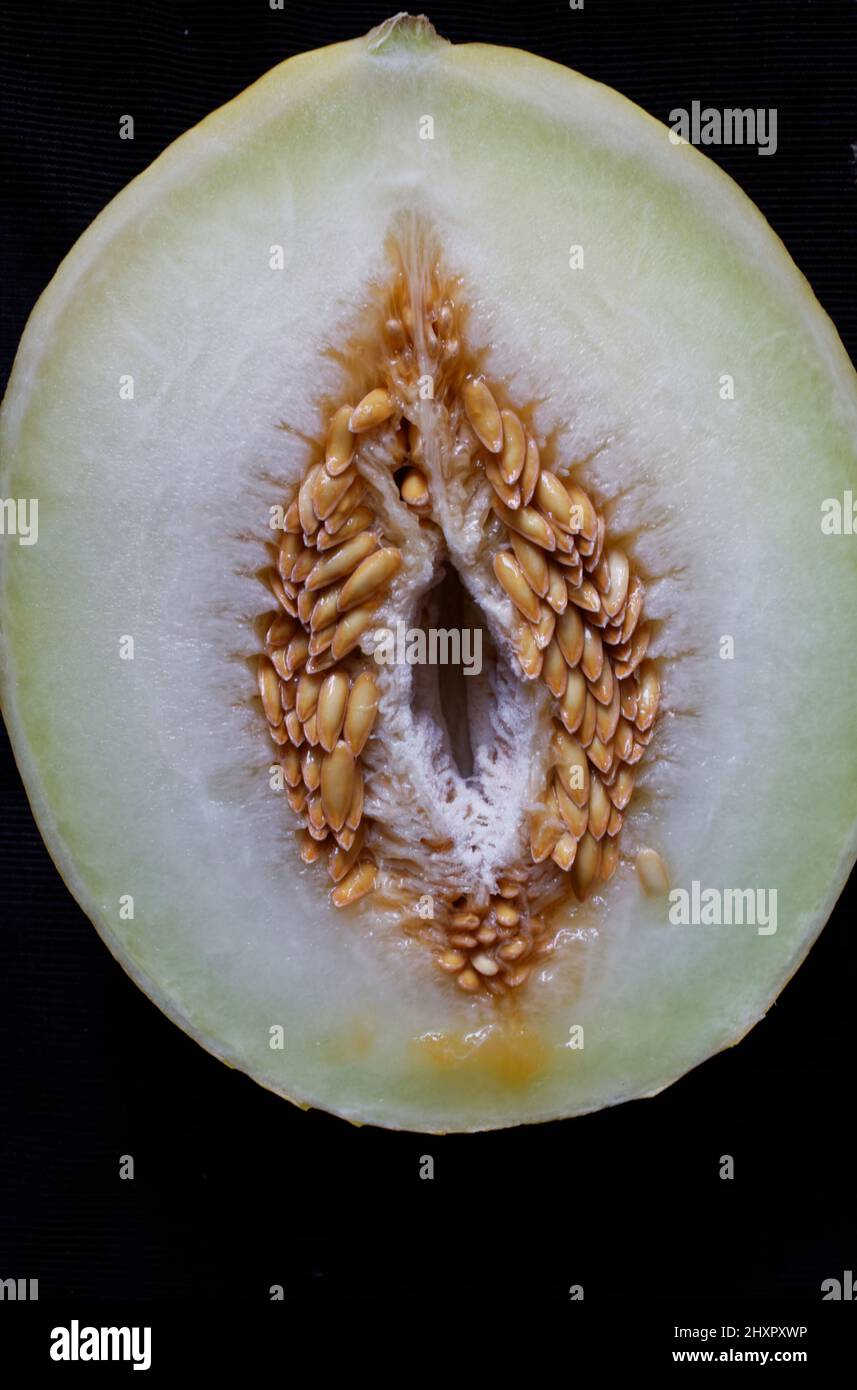 Melon half with seeds visible Stock Photo - Alamy