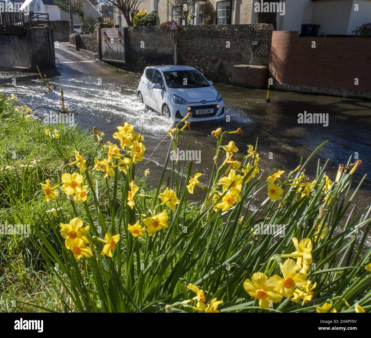 Sidmouth, 14th Mar 22 Pictured: Even the ford through the river is host ...