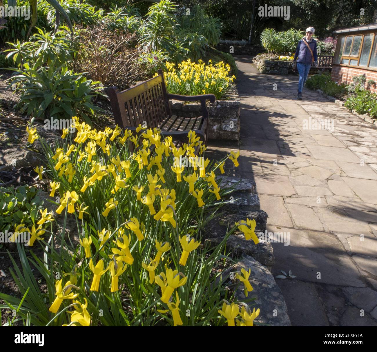 Sidmouth, 14th Mar 22 Pictured: Parks and garden are filled with ...