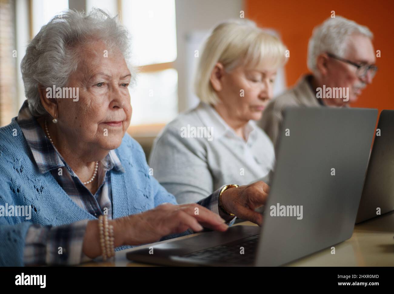 Senior group in retirement home learning together in computer class ...
