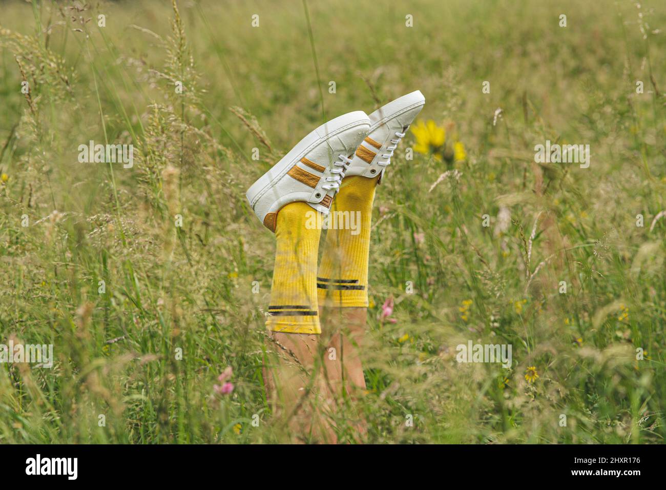 Legs from a Girls growing from a field on sipring time Stock Photo - Alamy