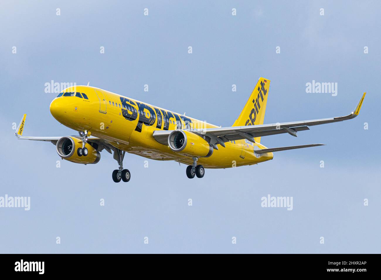 Spirit Airlines Airbus A320-232 D-AUAF Stock Photo - Alamy