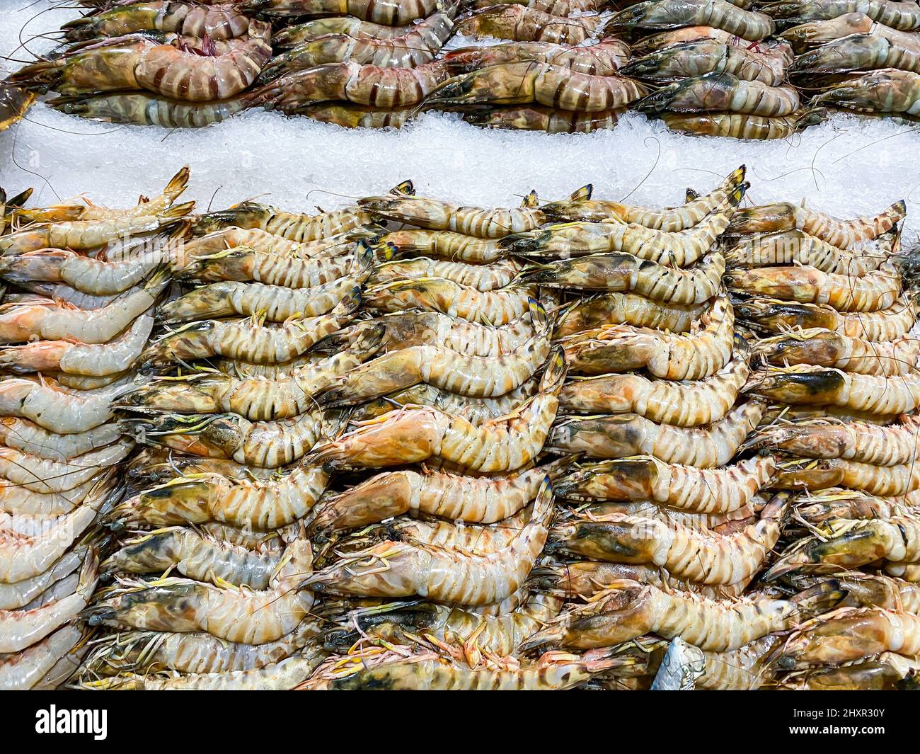 The Waterfront Market, Dubai, UAE Stock Photo - Alamy