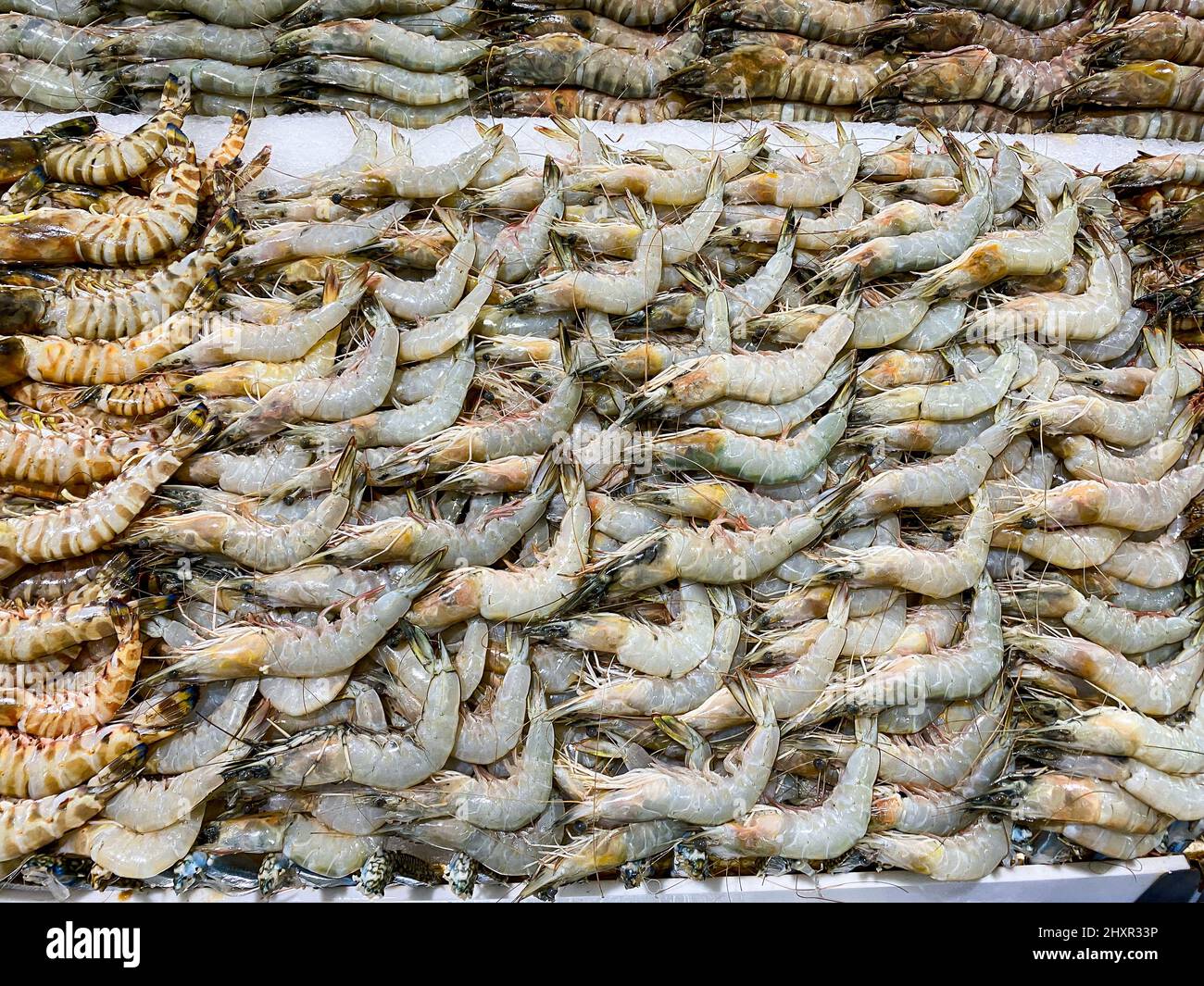 The Waterfront Market, Dubai, UAE Stock Photo - Alamy The Waterfront Market, Dubai, UAE Stock Photo - Alamy