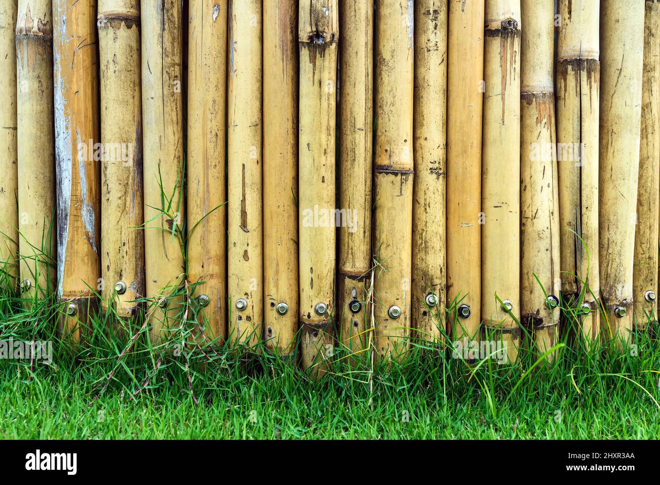 Old brown tone bamboo simple wall or Bamboo fence texture background ...