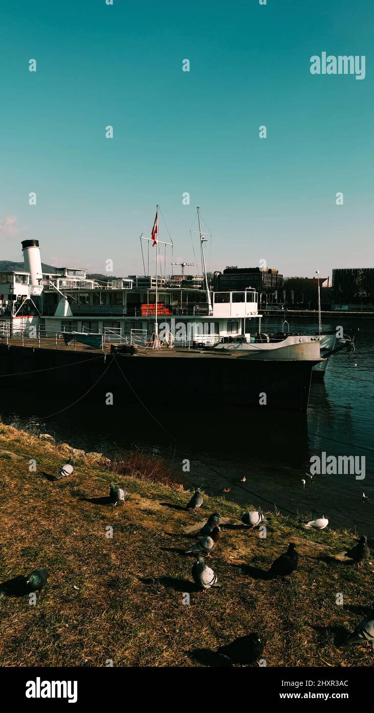 Cargo ship in donau hi-res stock photography and images - Alamy