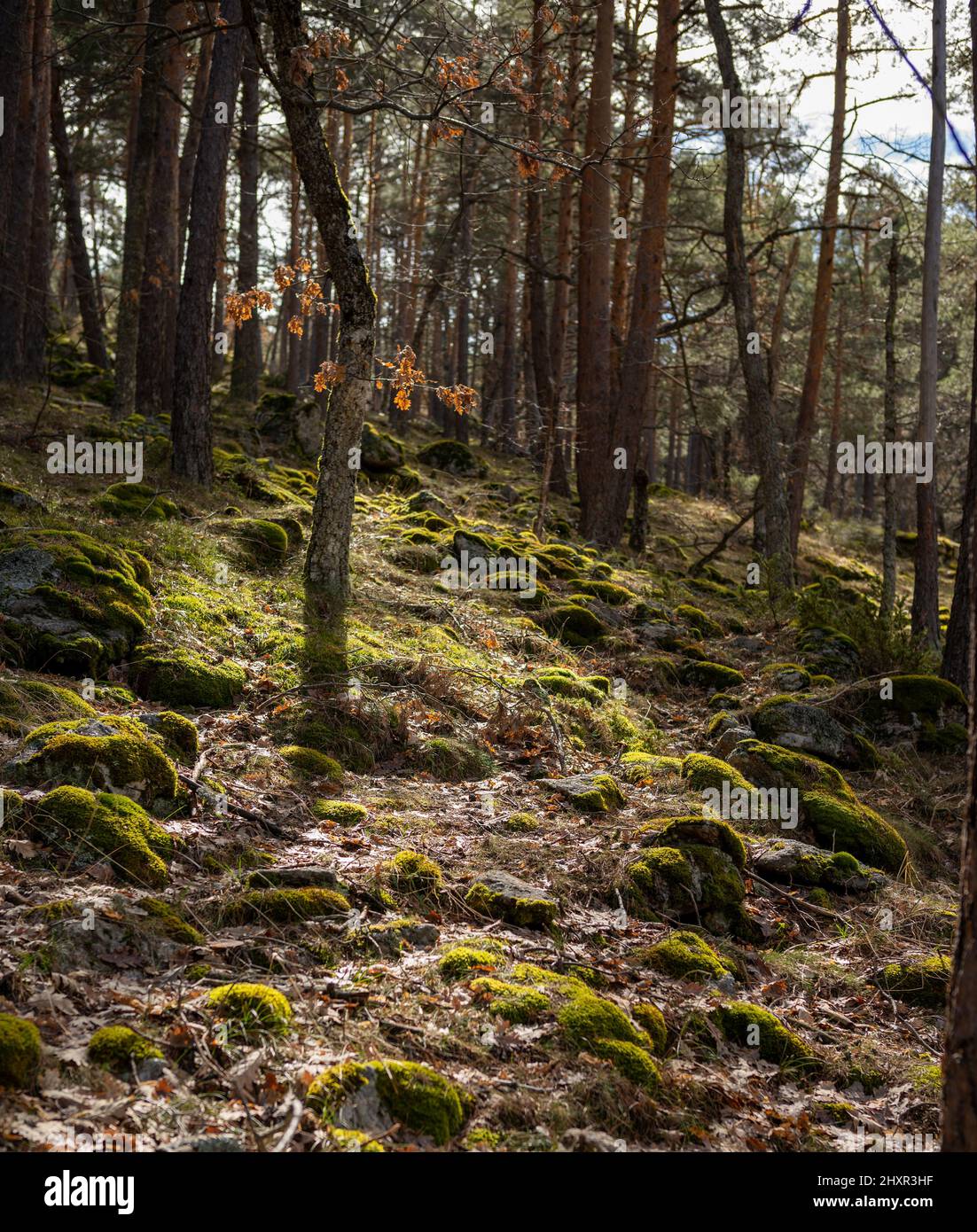 Tall vertical view hi-res stock photography and images - Alamy