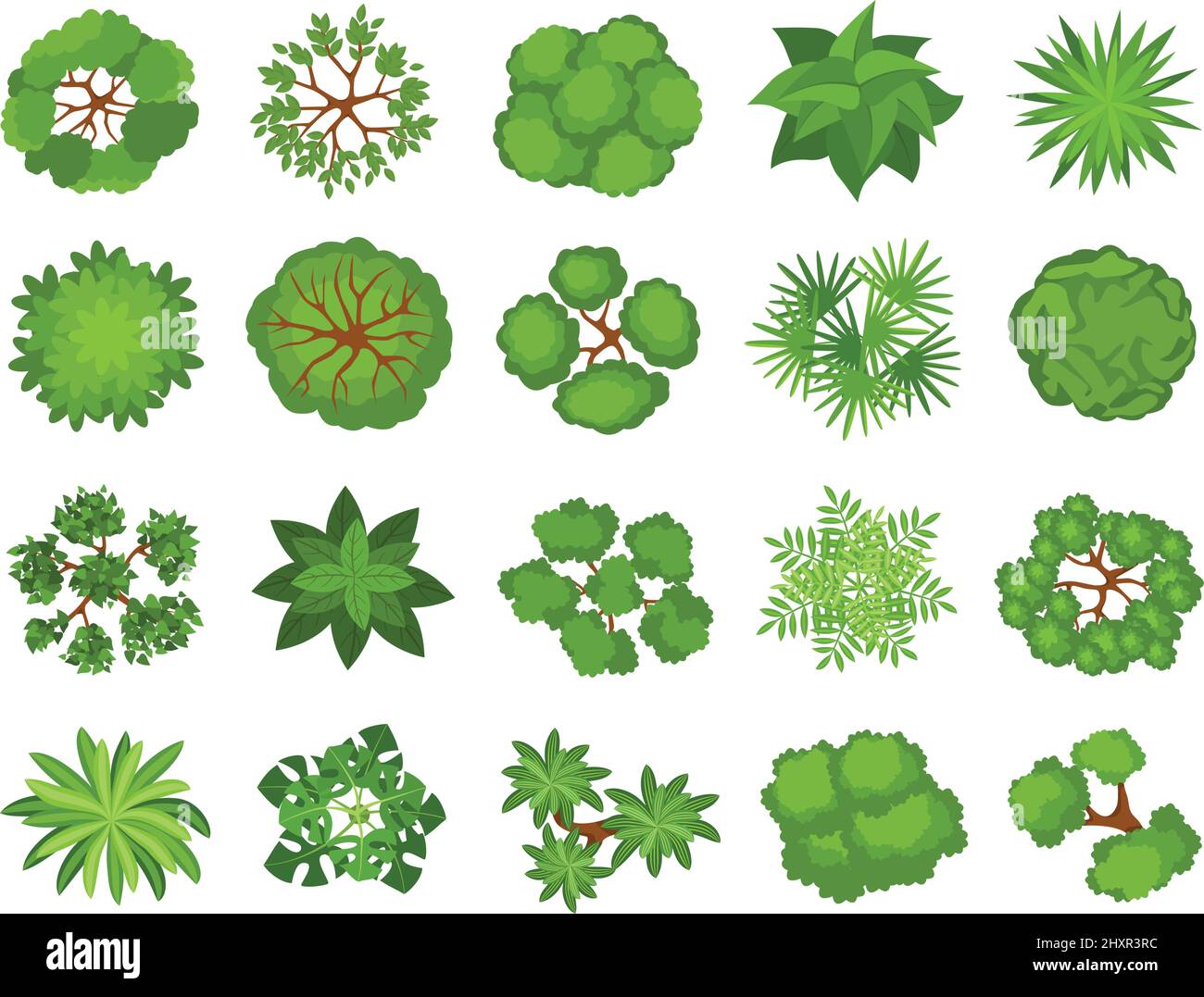 Natural landscape plan Stock Vector Images - Alamy