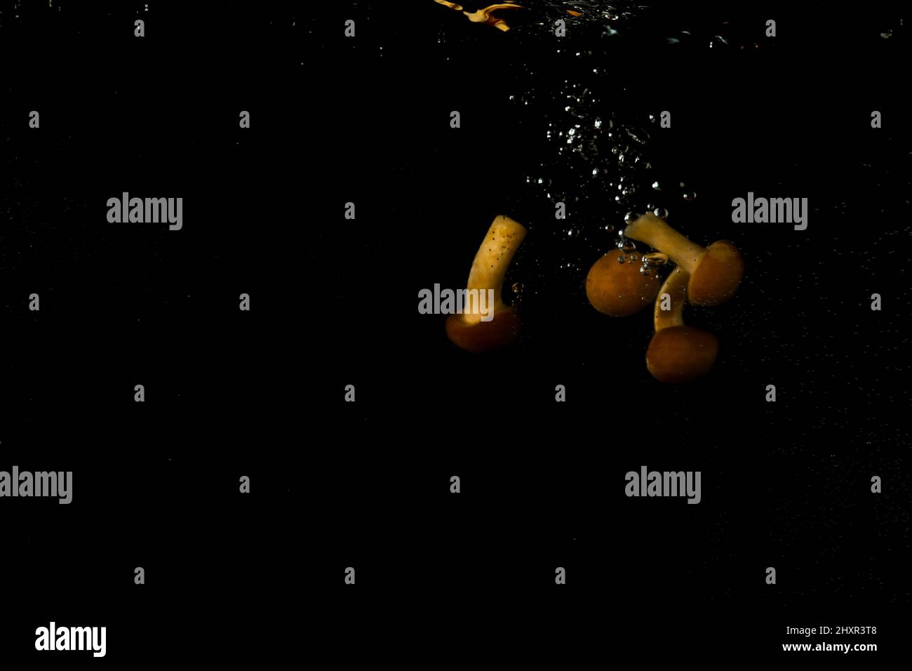 mushrooms in splashing splash water Stock Photo - Alamy