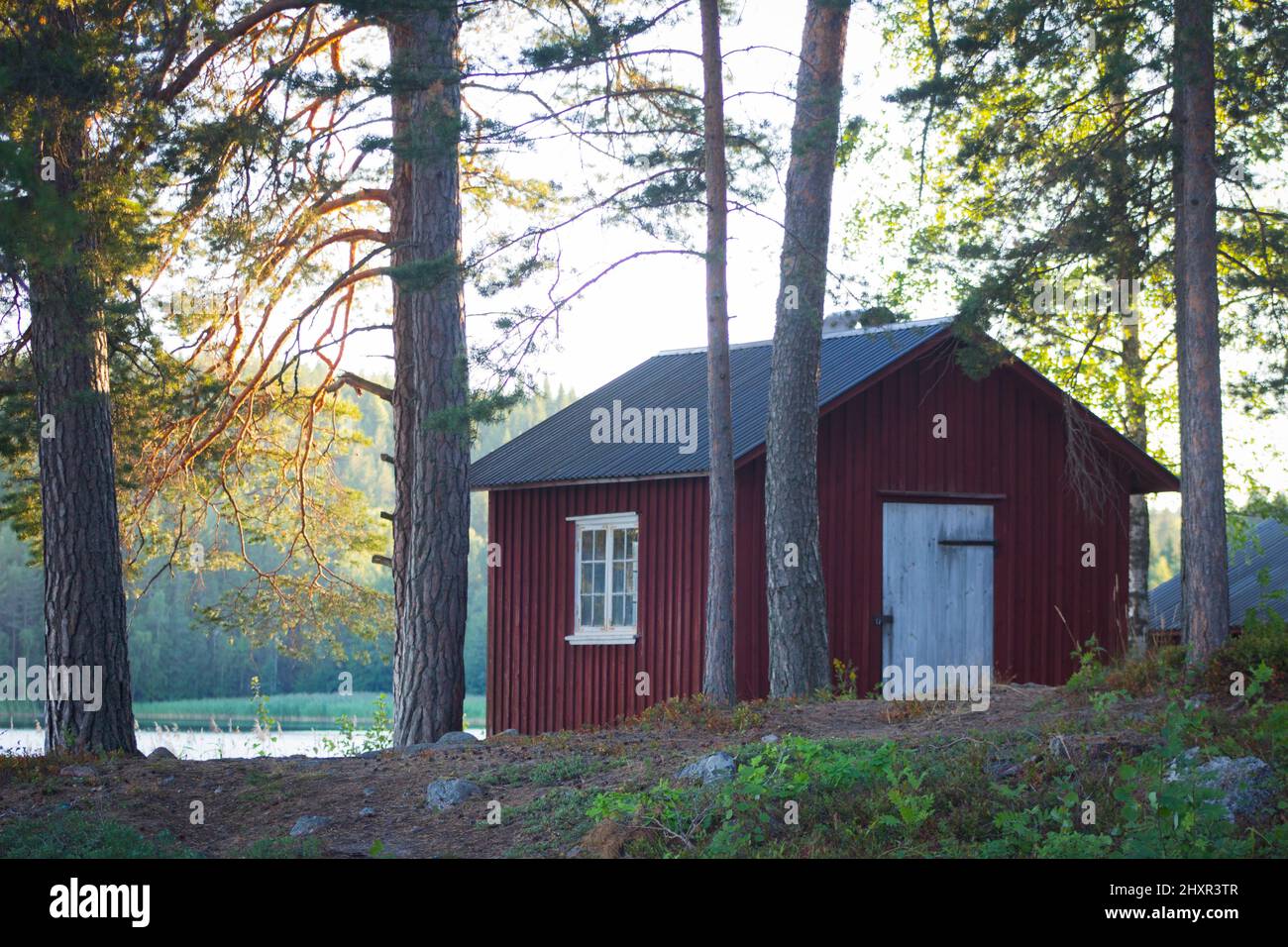 classic swedish red cabin at a beautiful lake in the forests of sweden ...