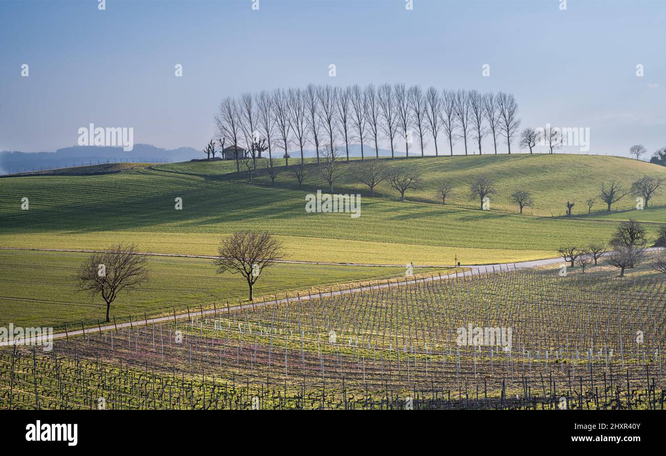 Concise hi-res stock photography and images - Alamy