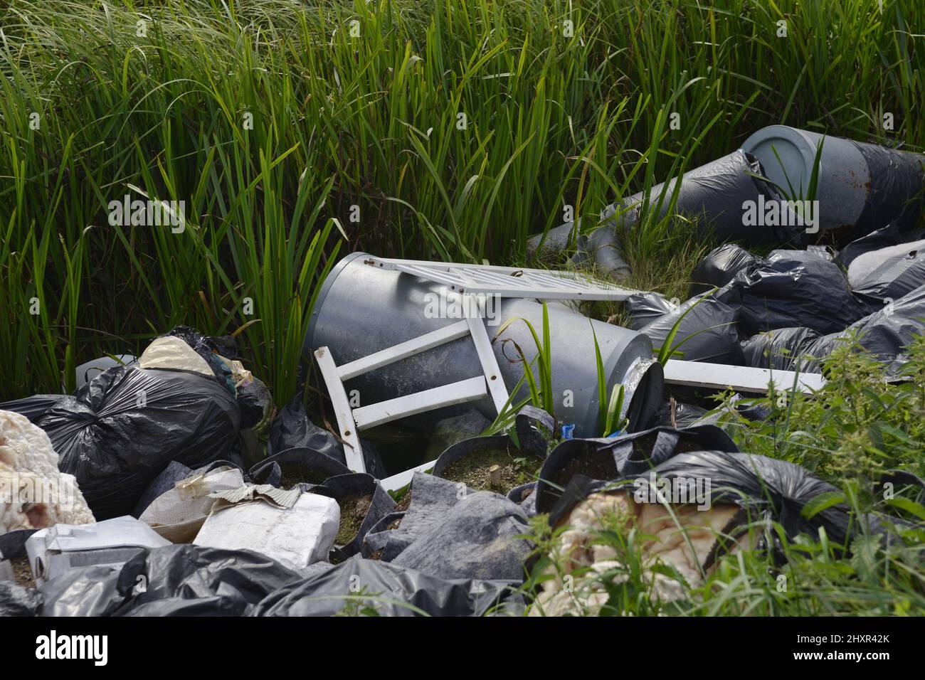Fly-tipped garbage in drainage ditch Stock Photo - Alamy