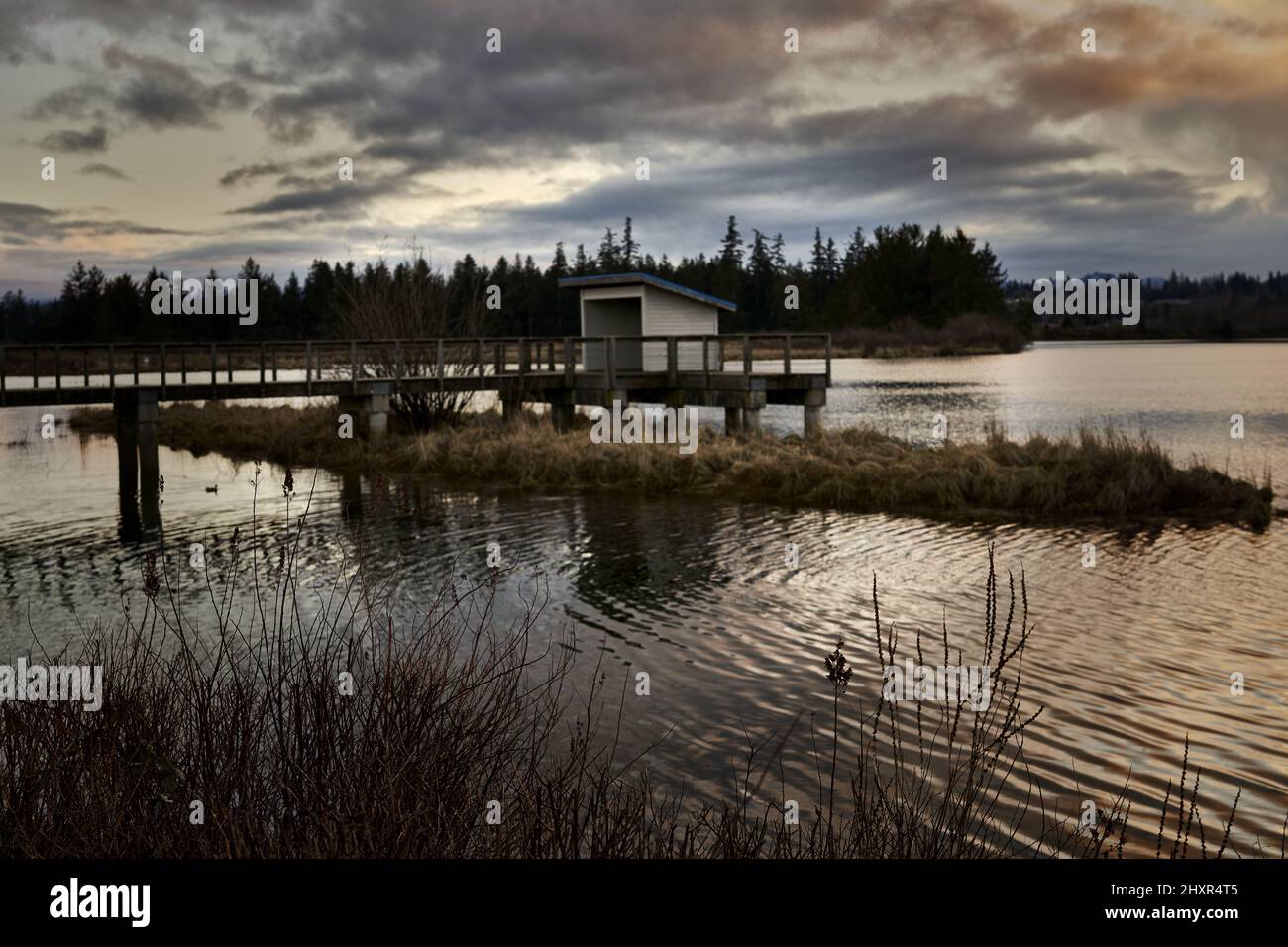 View of a walkway and bird blind on a platform on an estuary at sunset ...