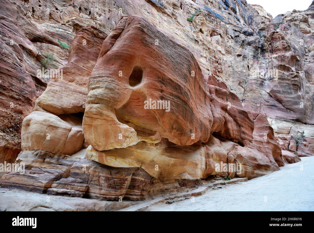 Rock formation in the shape of an elephant in the Siq, Petra, Jordan ...