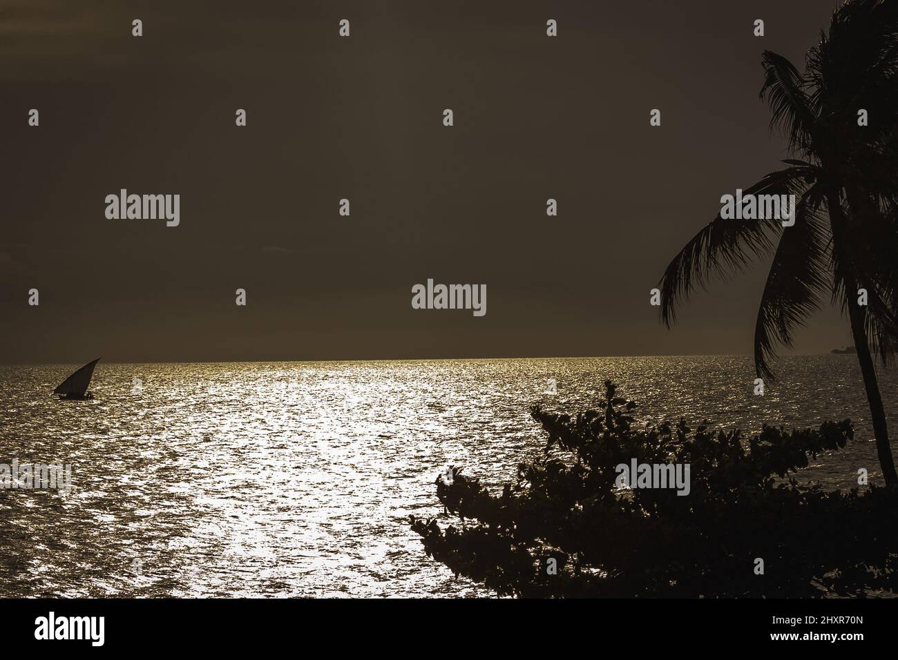 Faluka sailing boat disappearing in the sunset viewed from Stonetown ...