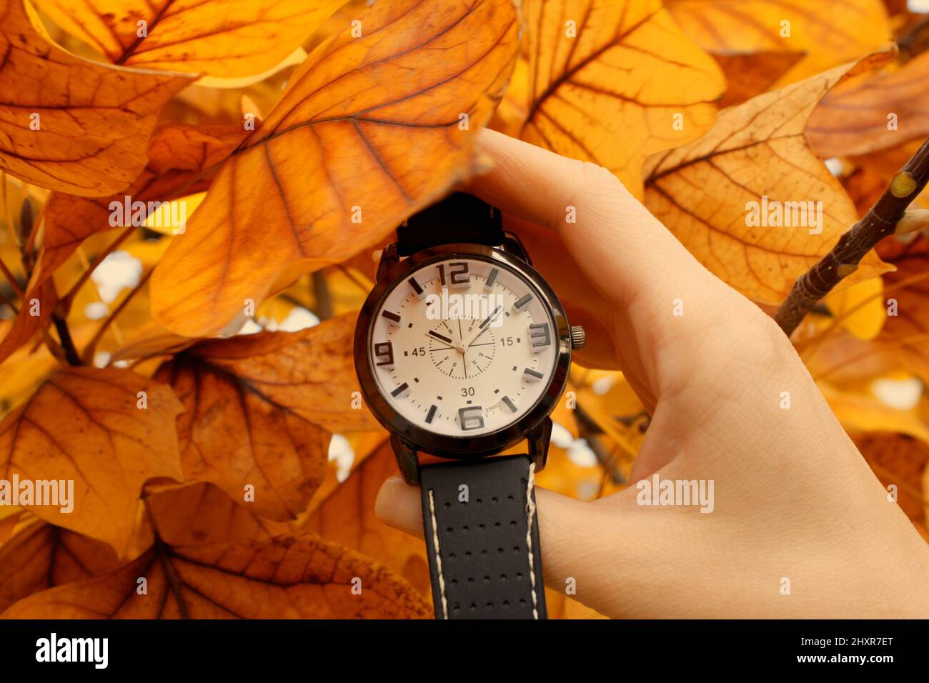 Autumn Leaves and Alarm Clock isolated Stock Photo - Alamy