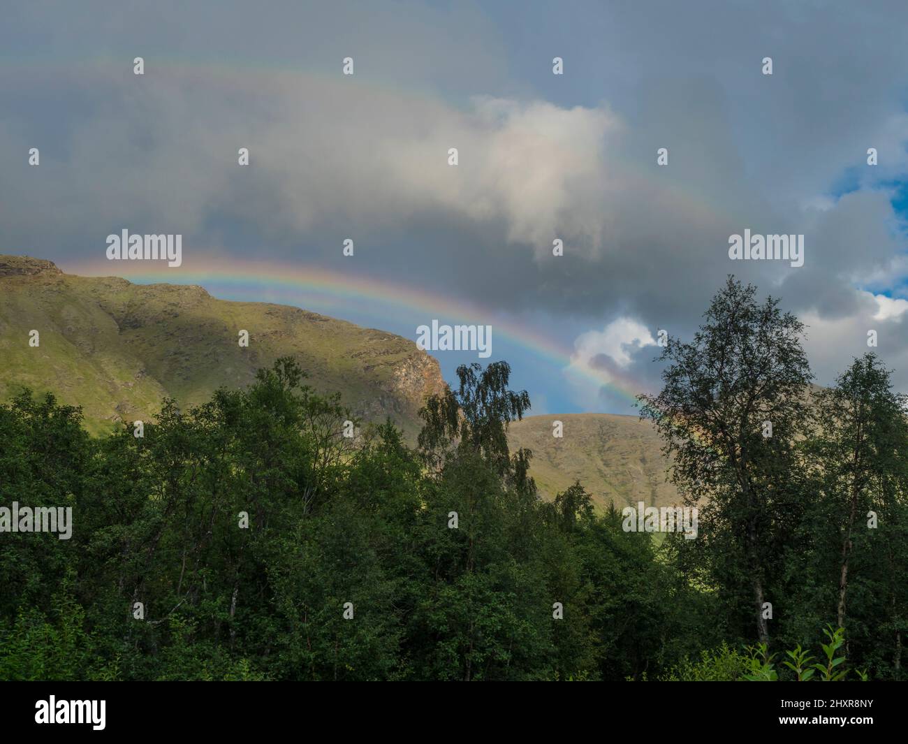 Rainbow over green hills,mountains and birch tree forest at Swedish ...