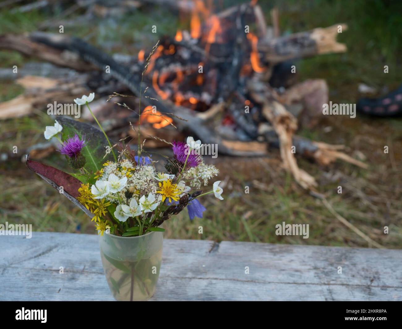 Close up bunch of field flowers in plastick cup on wooden plank on ...
