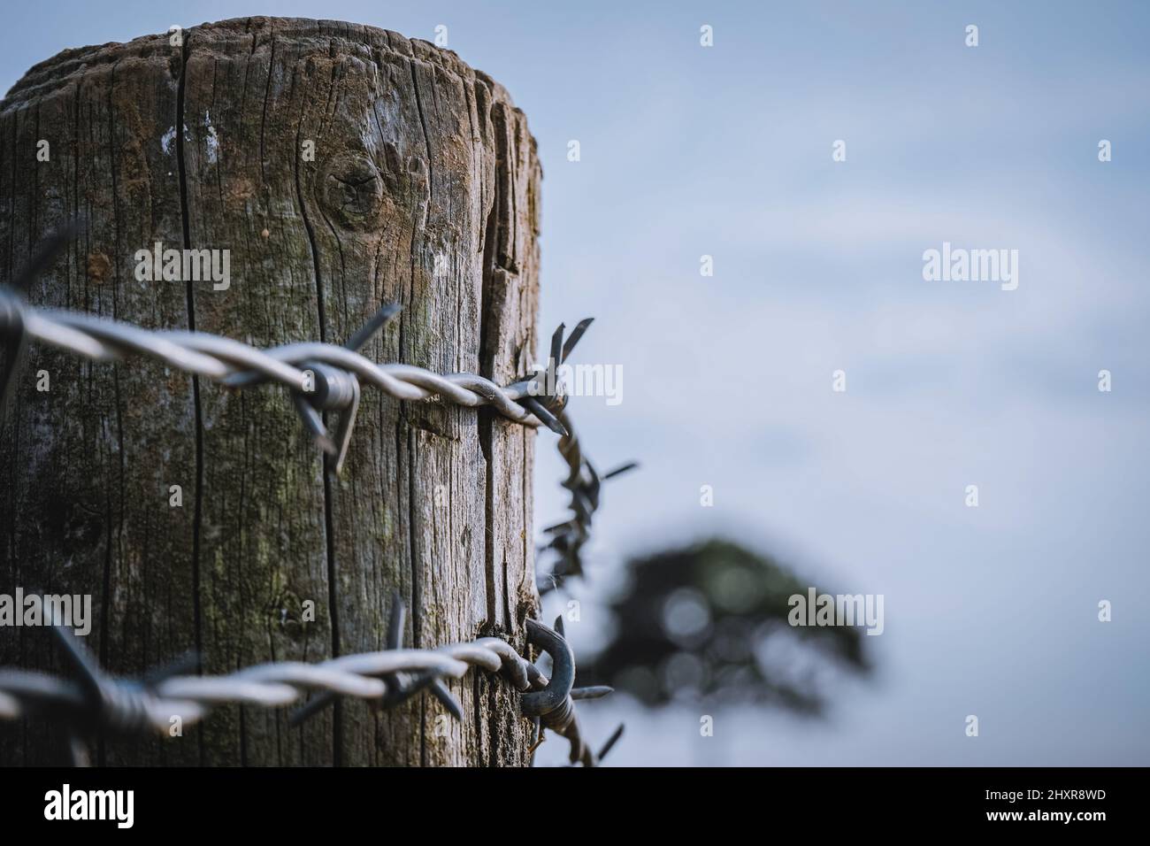 Closeup shot of a barbed wire around a pole Stock Photo - Alamy