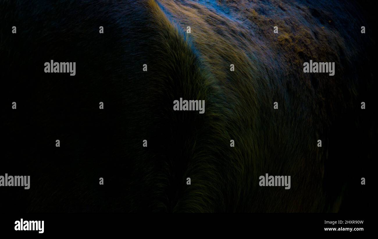 Abstract blurry background in faded colors Stock Photo - Alamy