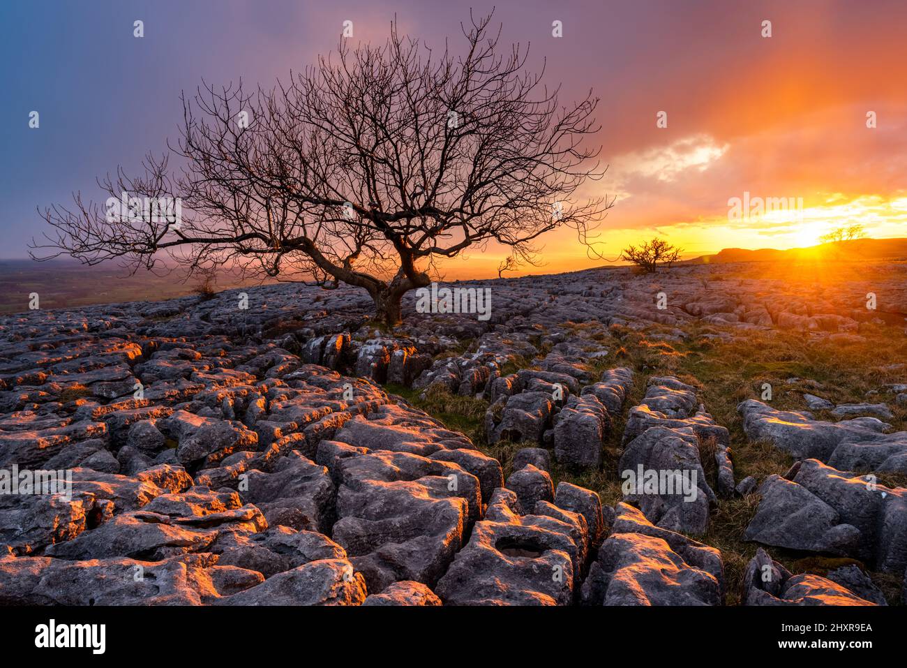 Lone tree with interesting rocks in foreground and beautiful sunset ...