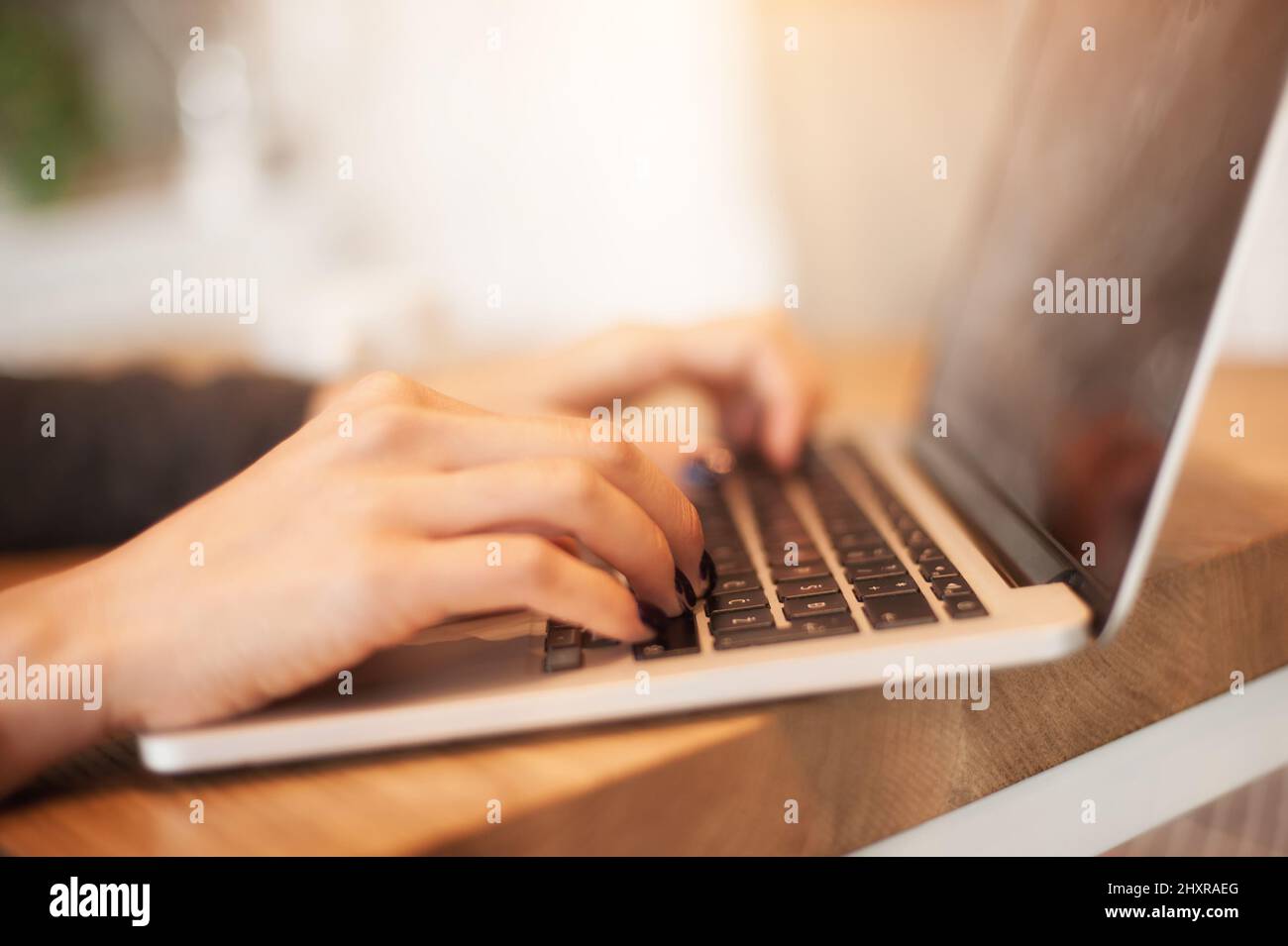 Close up woman hands typing on laptop keyboard at business meeting ...