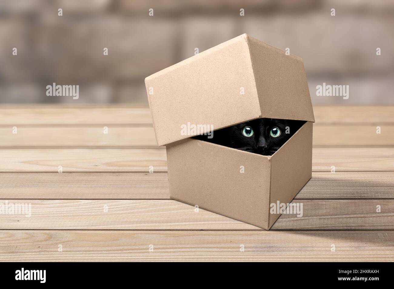 Cat eyes looking out of a cardboard box Stock Photo - Alamy