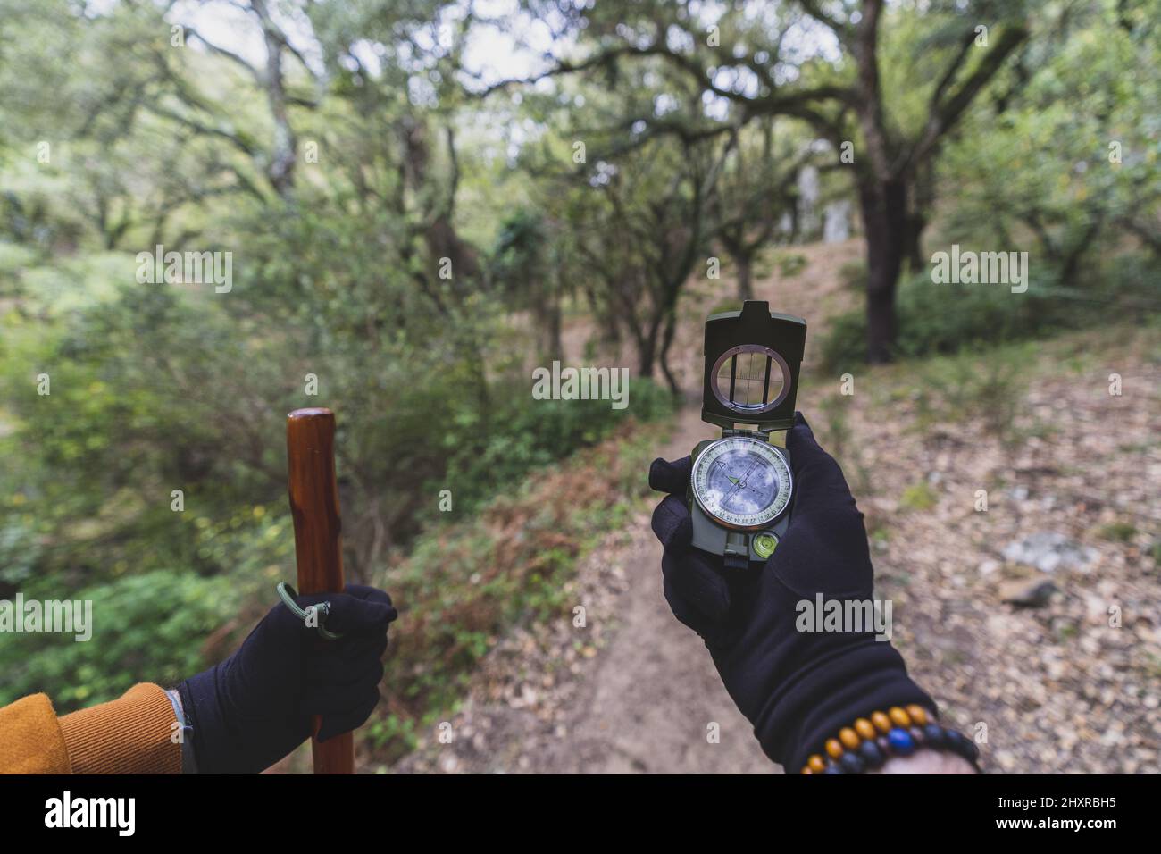 Male holding a compass while hiking in a forest Stock Photo - Alamy