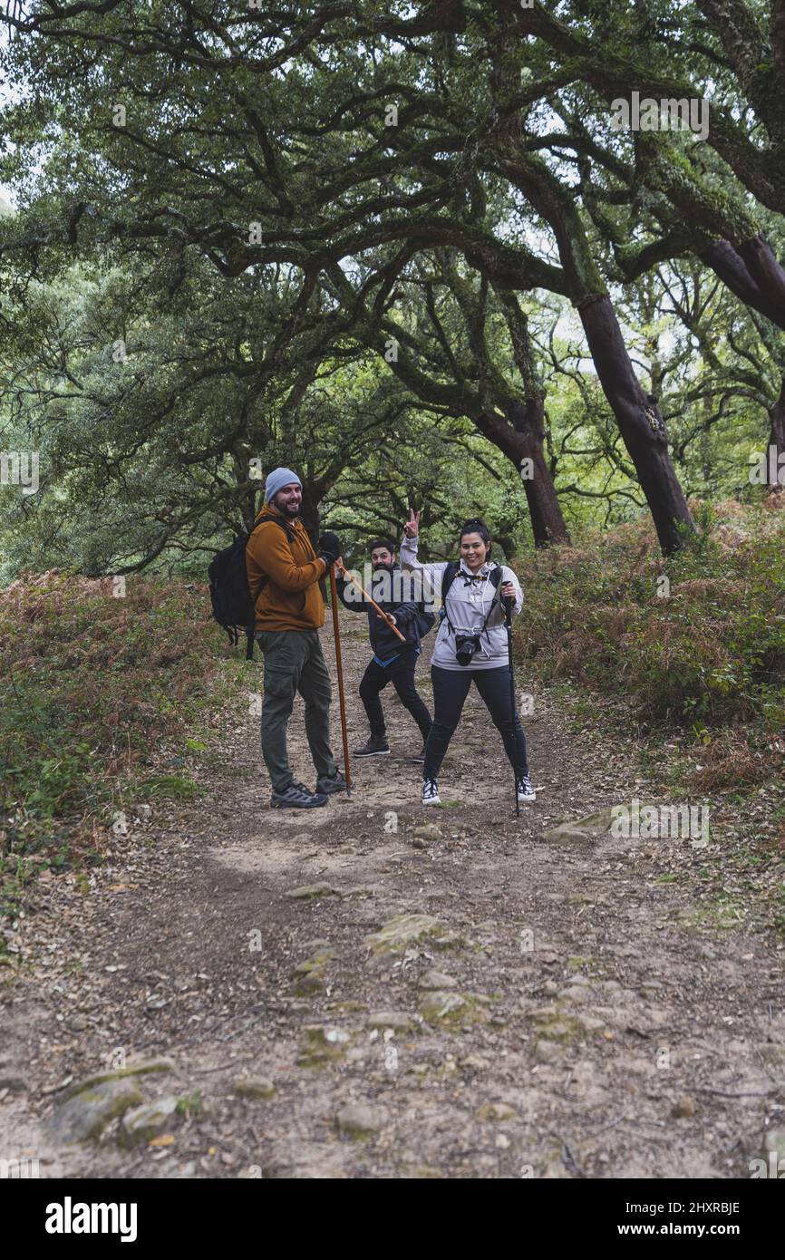Group of hikers walking in a forest Stock Photo - Alamy