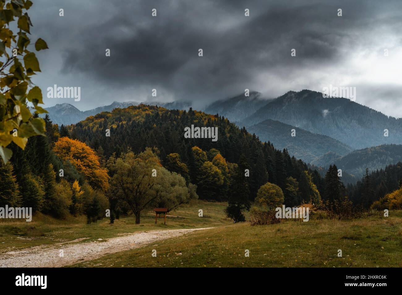 Piatra mare mountain hi-res stock photography and images - Alamy