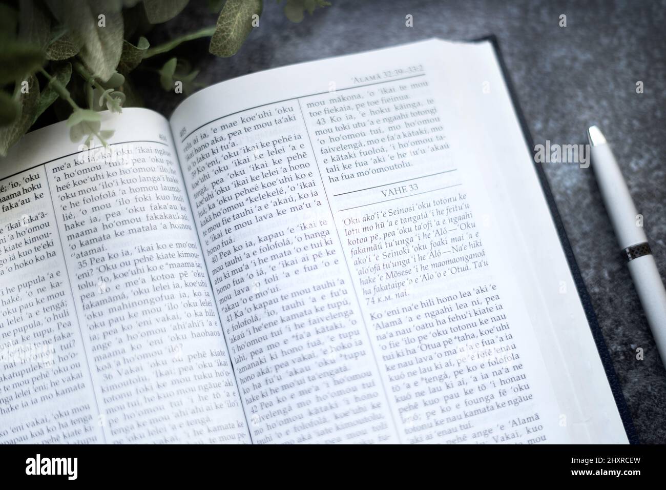 Closeup of the Book of Mormon. The religious text of the Latter Day ...