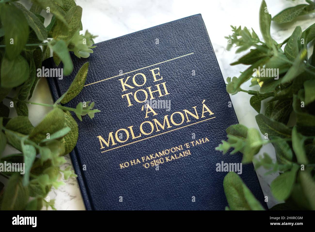 Closeup Of The Book Of Mormon The Religious Text Of The Latter Day