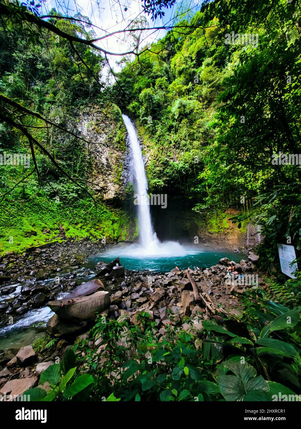 Closeup of a waterfall in a green forest Stock Photo - Alamy