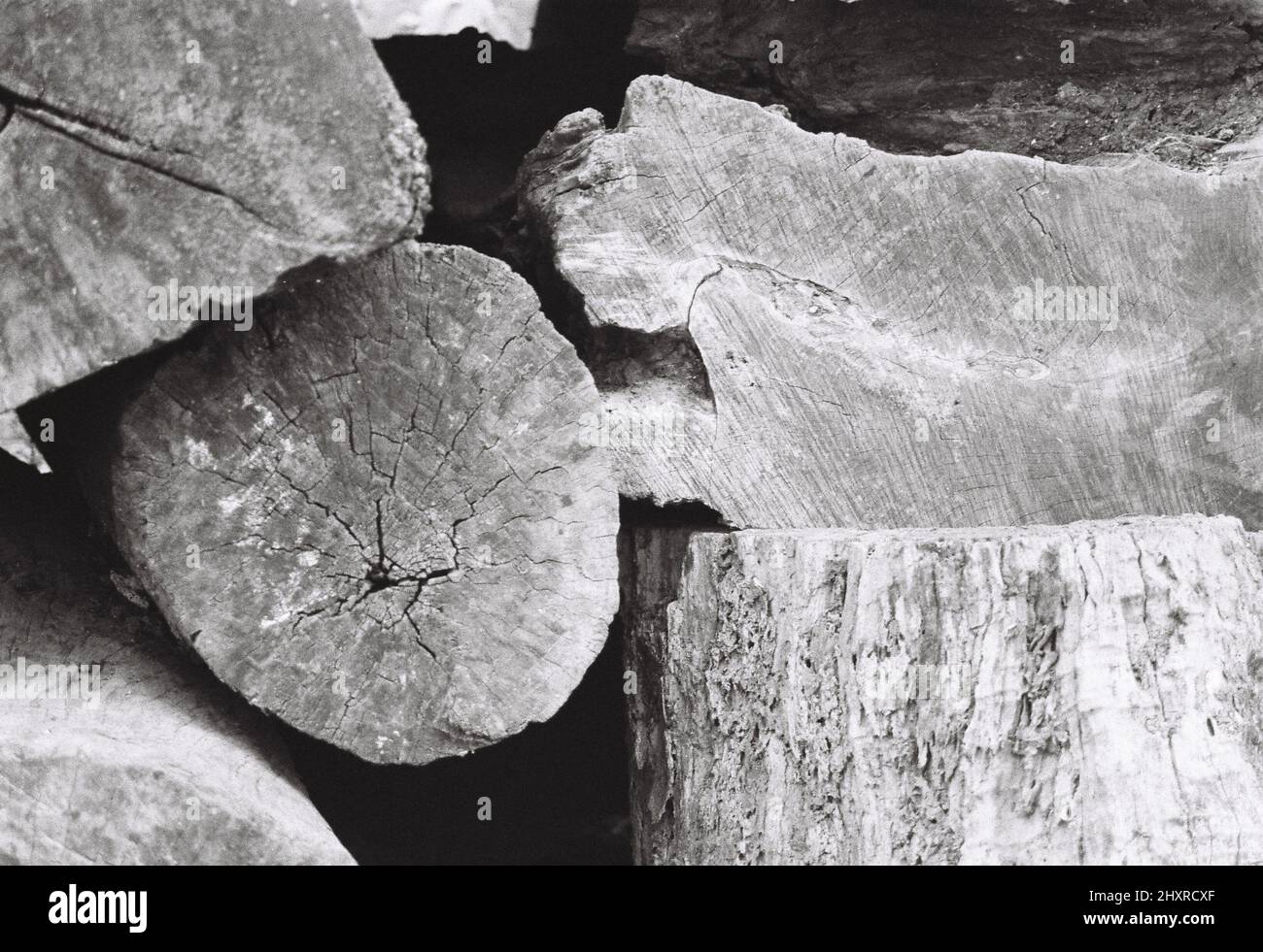 Grayscale closeup of the logs. Natural wood pattern Stock Photo - Alamy