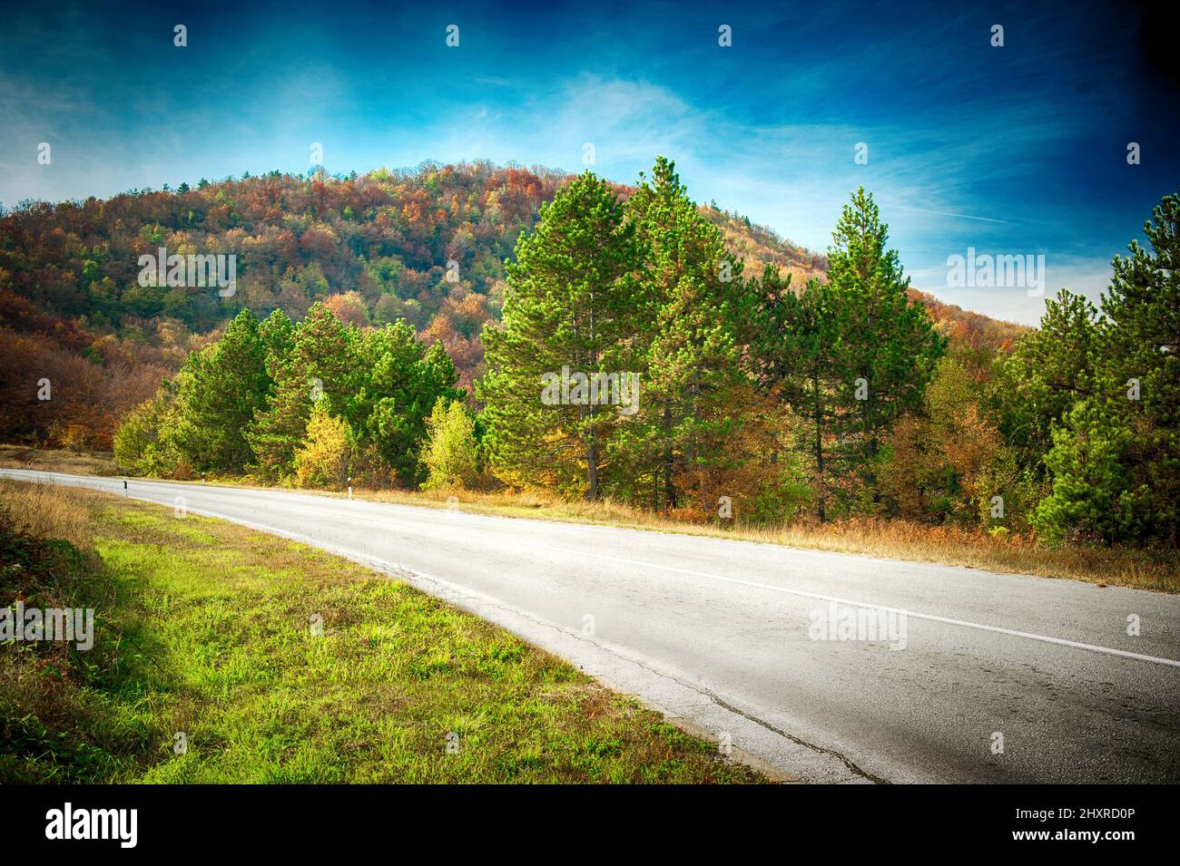 Landscape with beautiful road through the forest with colorful trees ...