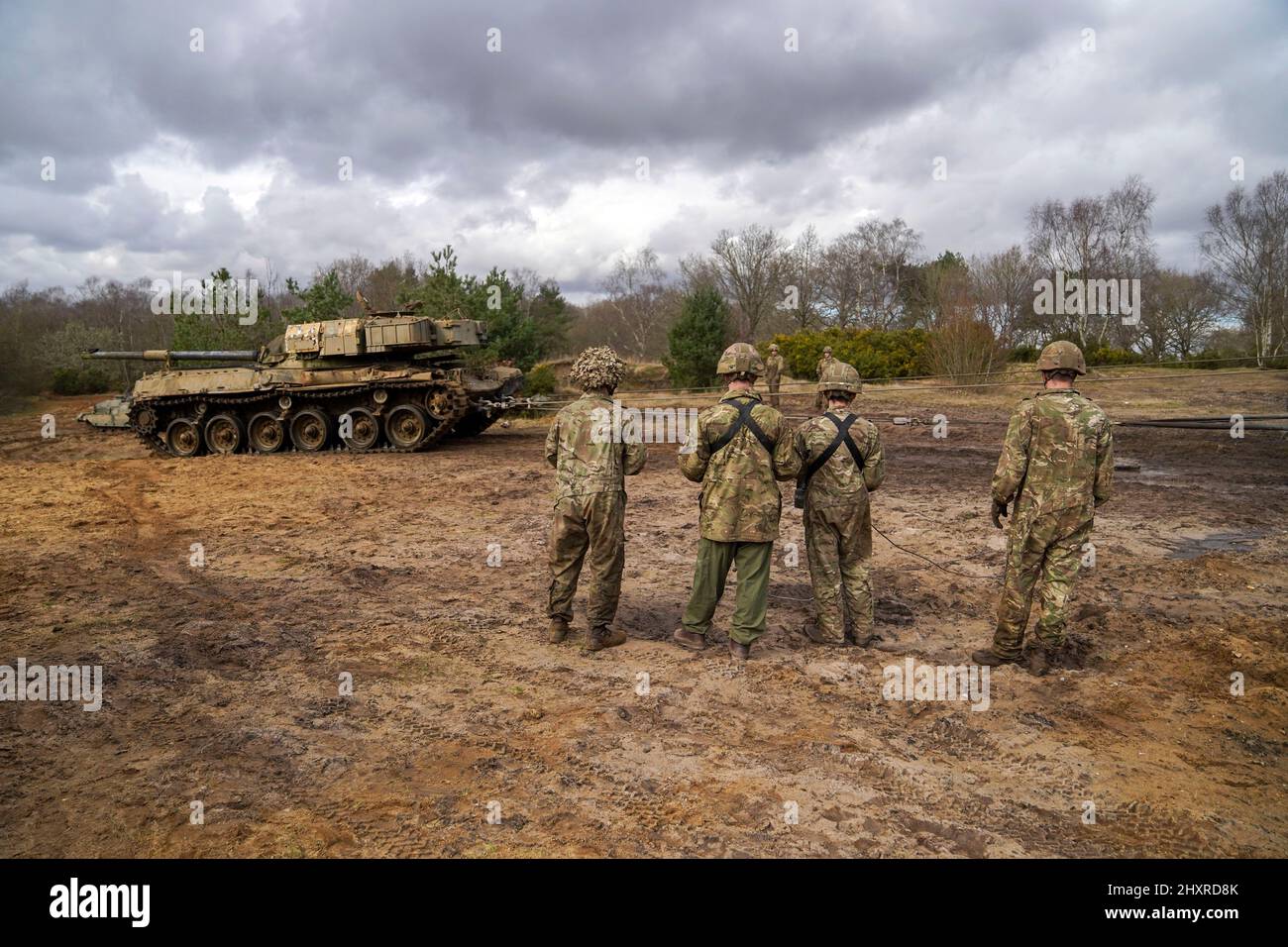 Army engineers take part in the Royal Electrical and Mechanical ...