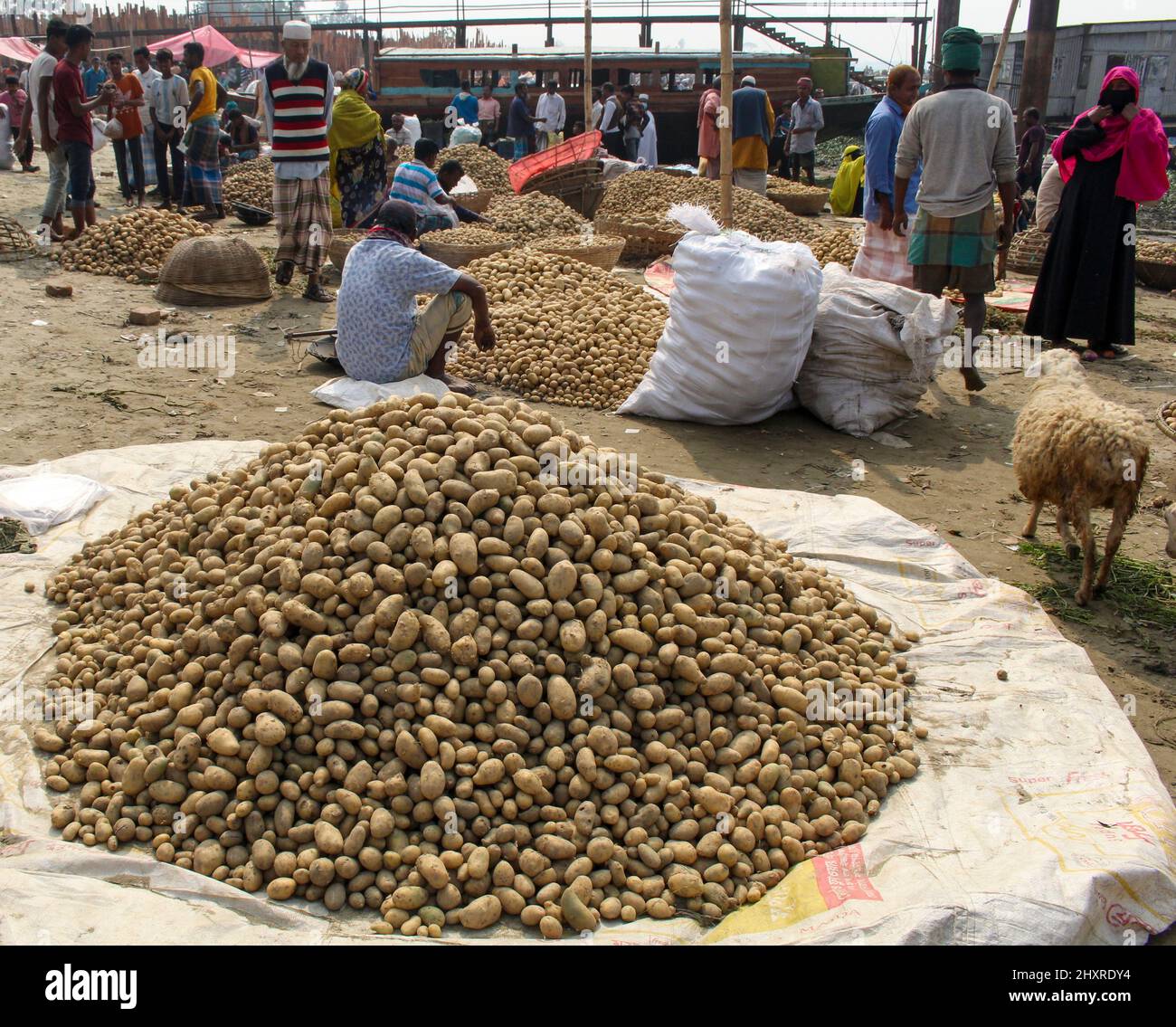 Potato harvesting machine hi-res stock photography and images - Alamy