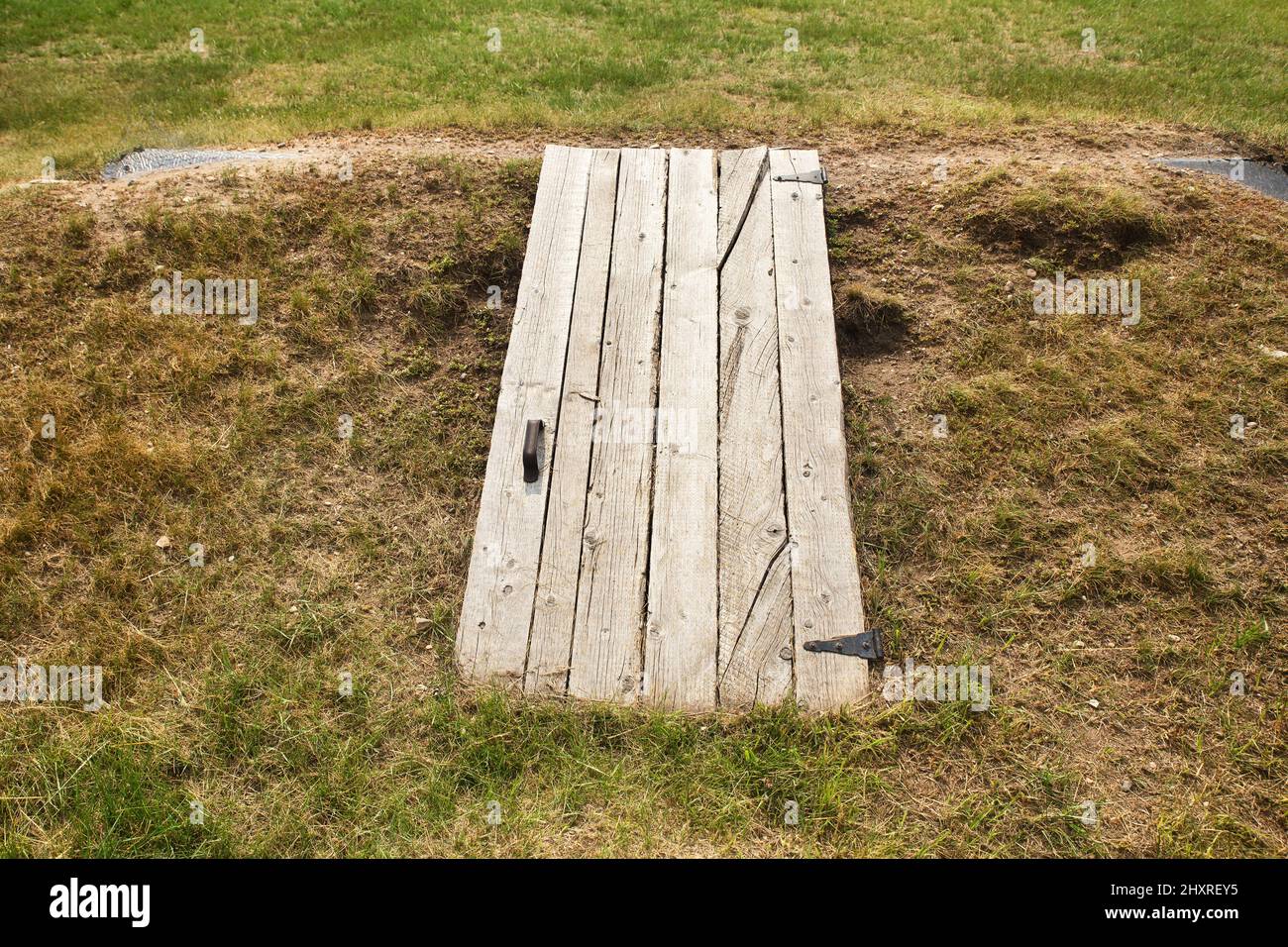 A closed wood plank underground cellar door built into surrounding dirt ...