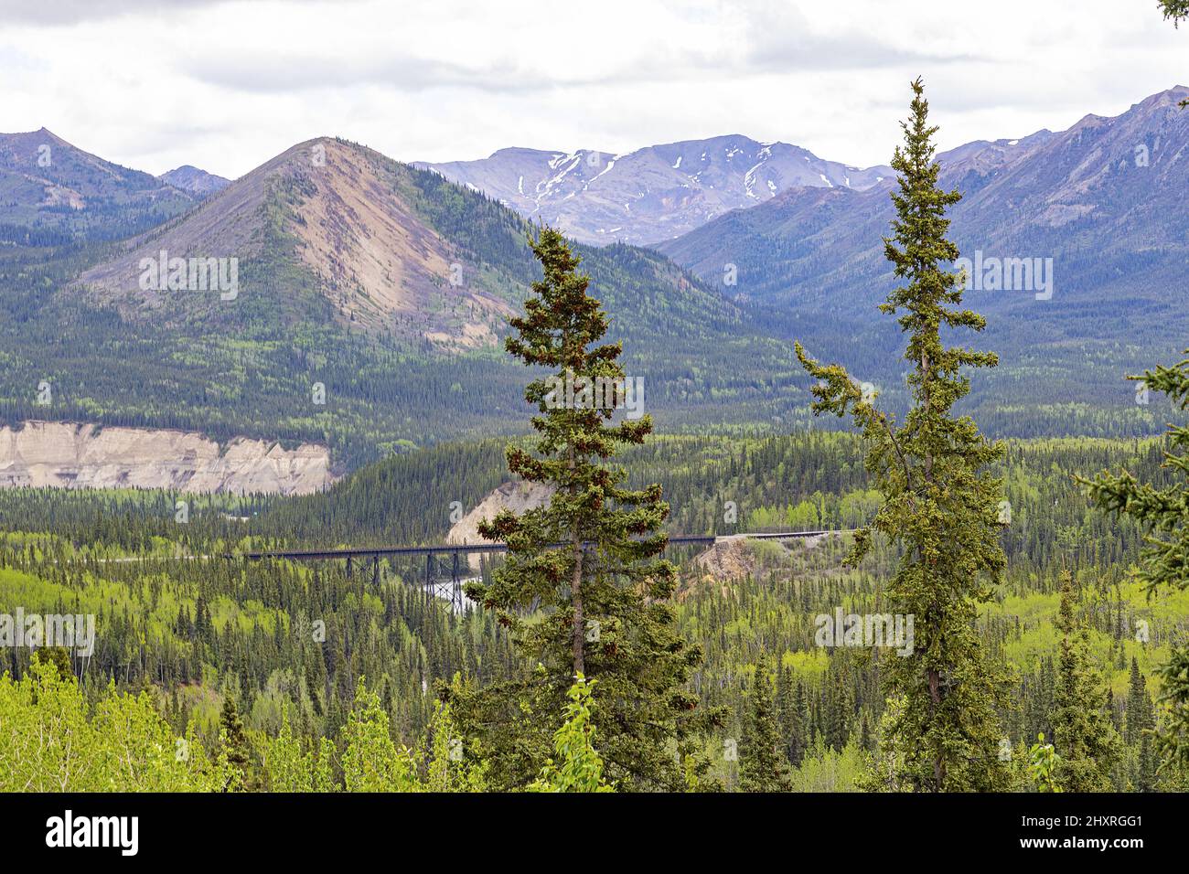 Beautiful view of the Denali Park area, Alaska in Summer Stock Photo ...