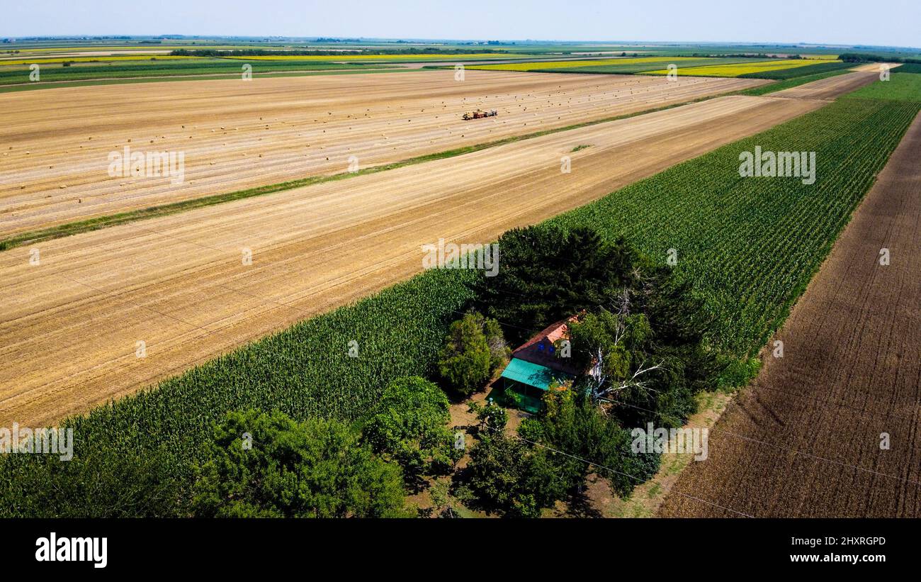 Aerial view of an agricultural field Stock Photo - Alamy
