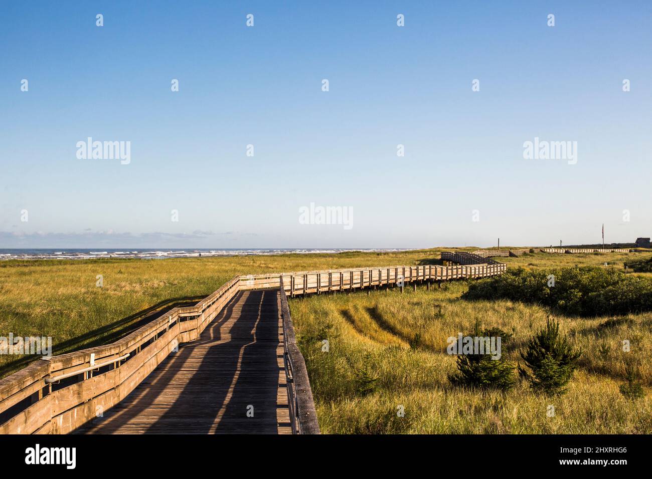 An empty wooden boardwalk leading to the beach across grassy dunes ...