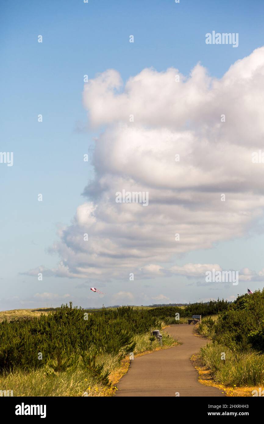 Empty walking path hi-res stock photography and images - Alamy