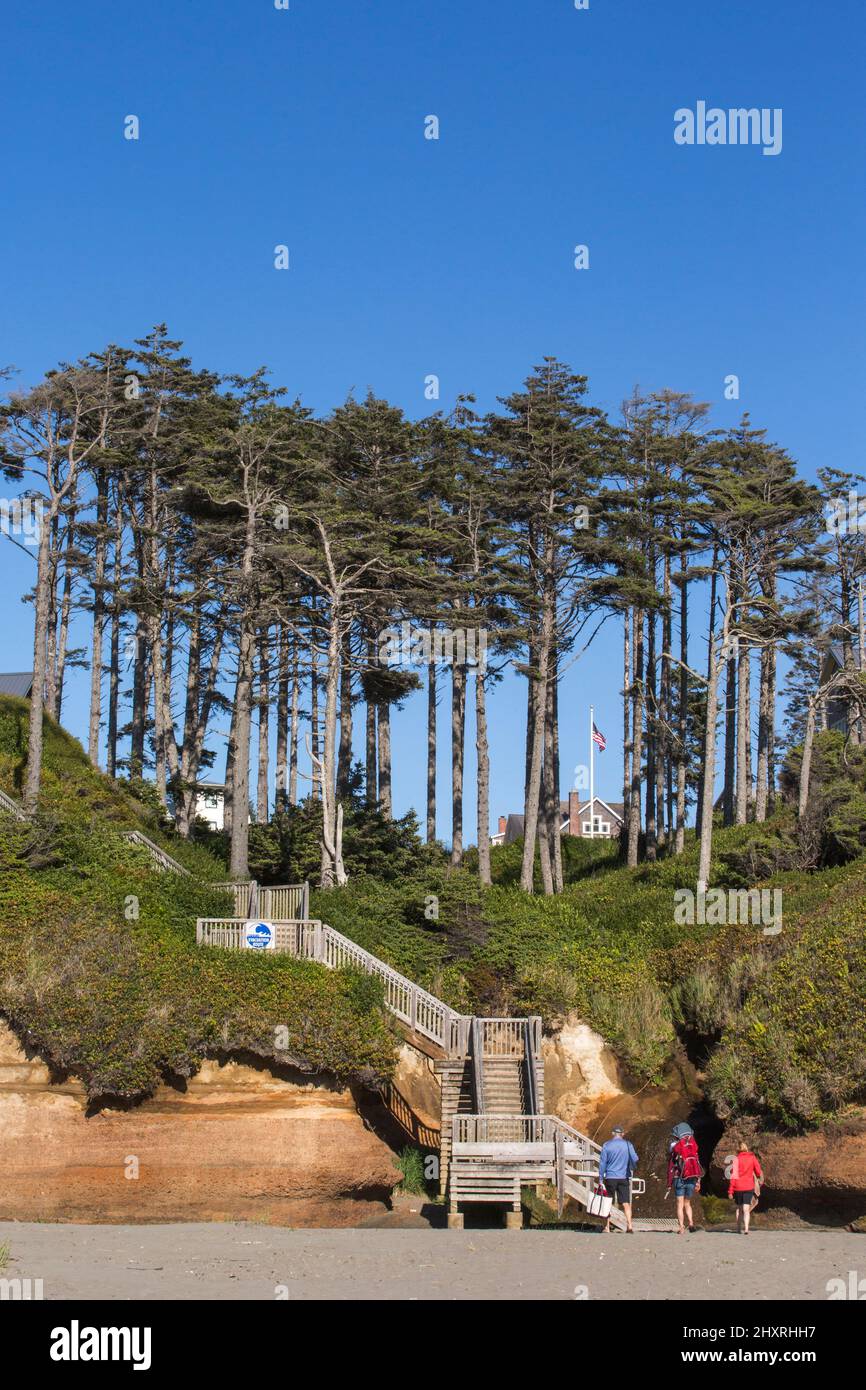 A family walks on beach toward wooden steps leading to trees Stock ...
