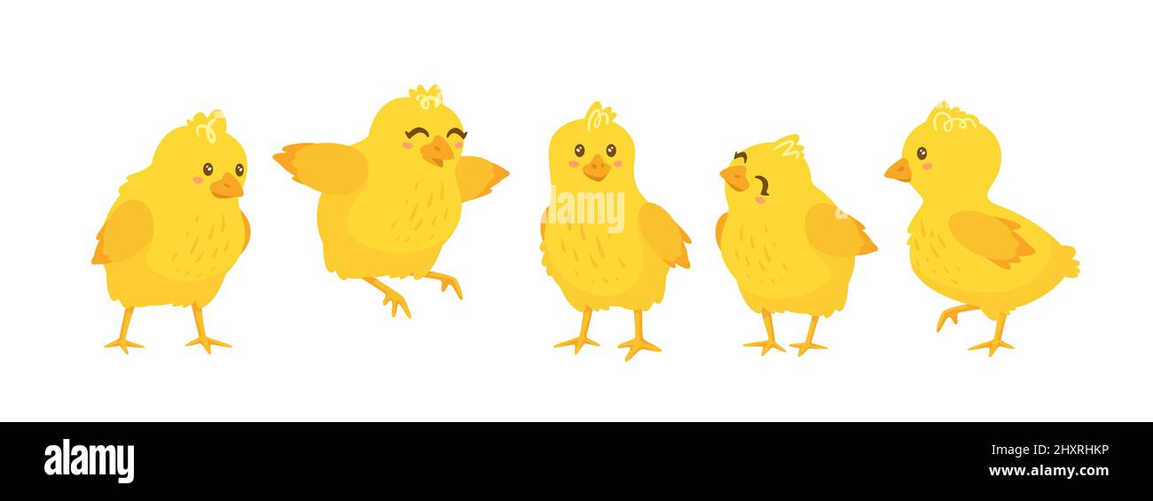 happy yellow chicks set. Vector illustration isolated Stock Vector ...