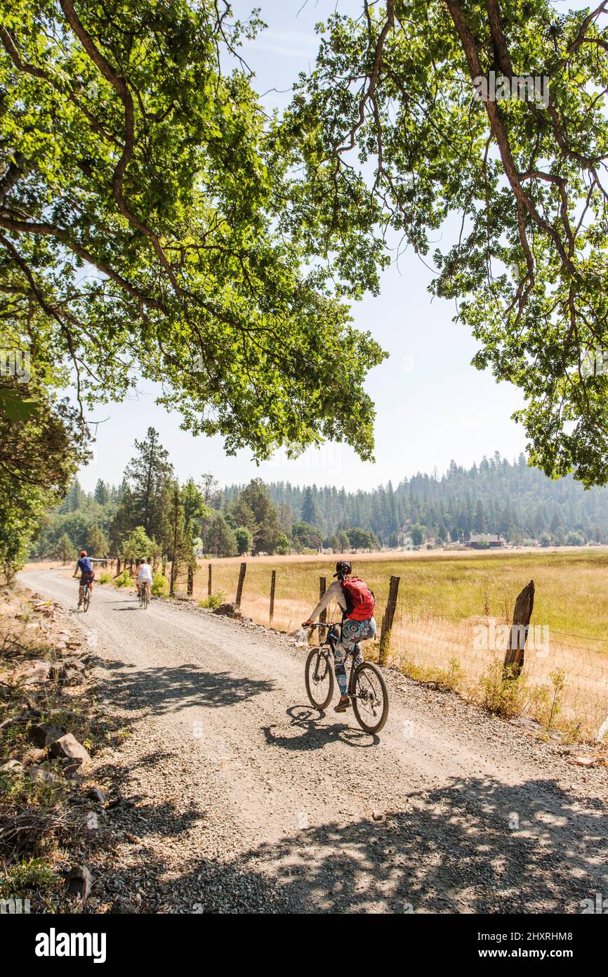 Three bikers hi-res stock photography and images - Alamy